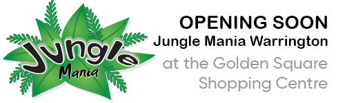 Welcome to Jungle Mania Soft Play Centre & Cafe
